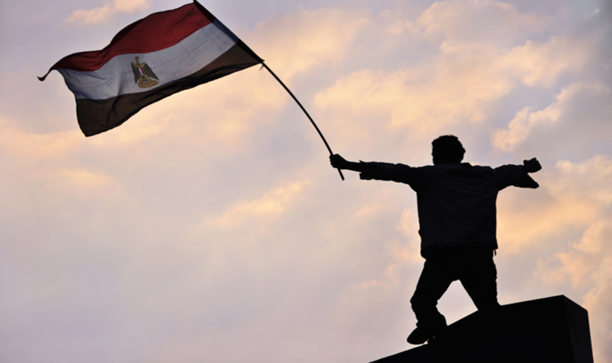 Backgrounder – The Campaign Against NGOs in Egypt - MEDC